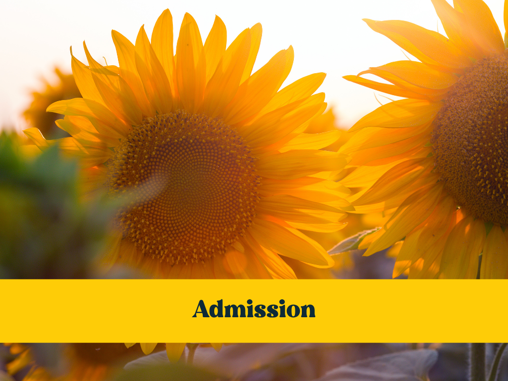 2025 Golden Hour – Gull Meadow Farms