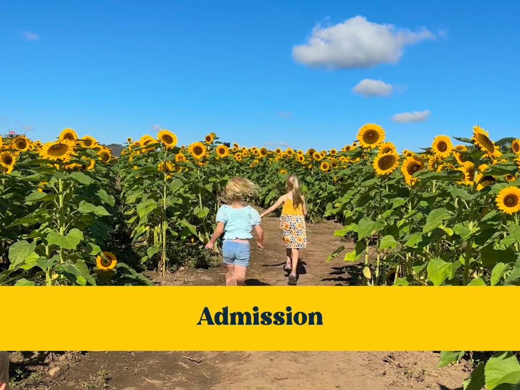 2025 Sunflower Days General Admission – Gull Meadow Farms